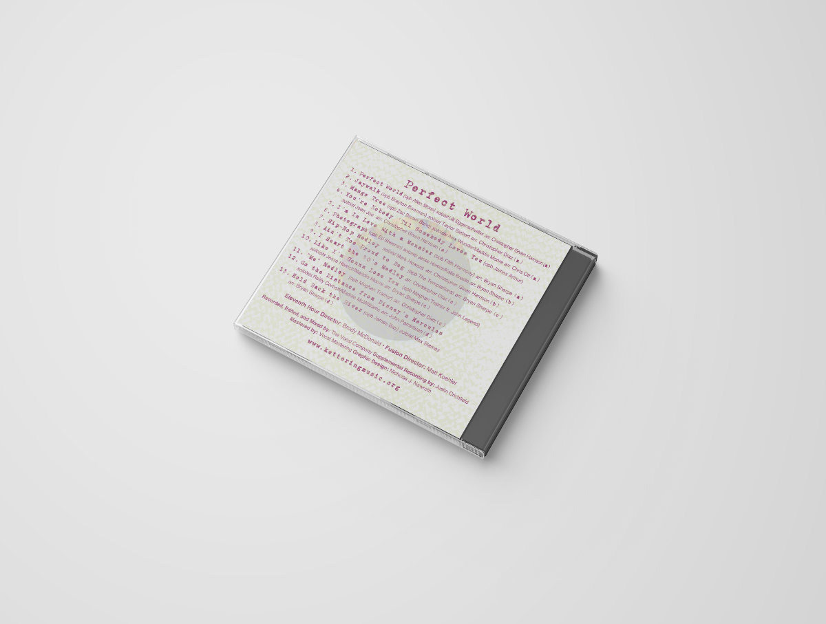 Perfect World CD Cover & Release Poster - Nicholas J. Nawroth